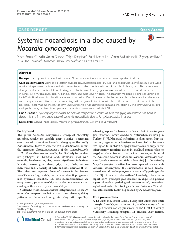 (PDF) Systemic nocardiosis in a dog caused by Nocardia cyriacigeorgica