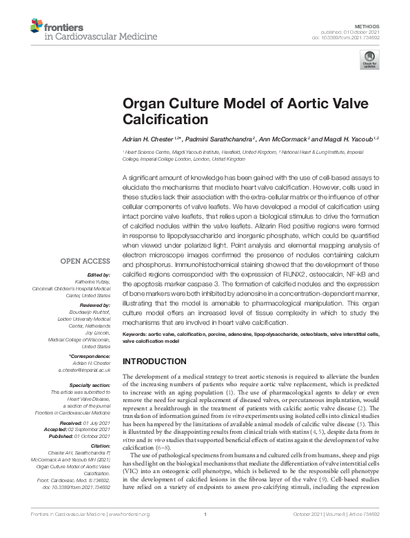 (PDF) Organ Culture Model of Aortic Valve Calcification