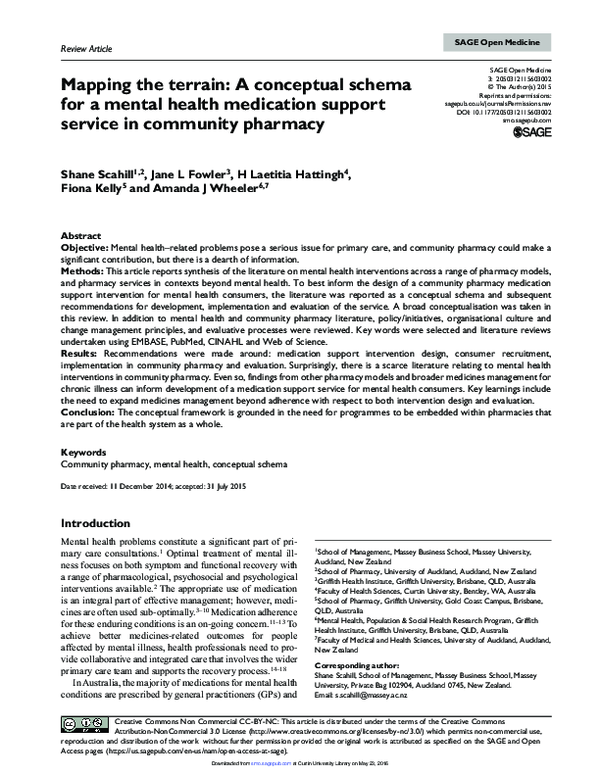 (PDF) Mapping the terrain: A conceptual schema for a mental health ...