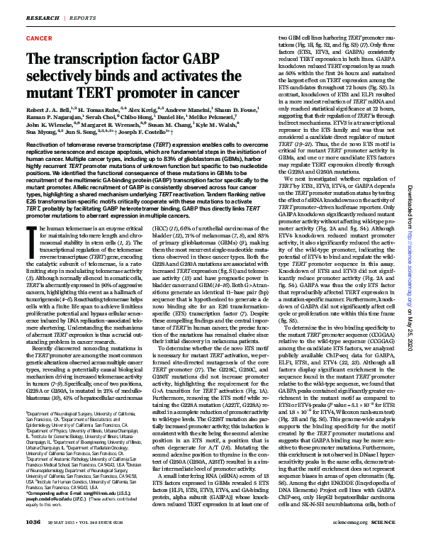 (PDF) Cancer. The transcription factor GABP selectively binds and ...