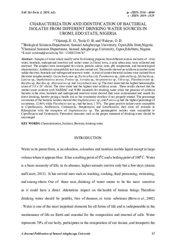 (PDF) CHARACTERIZATION AND IDENTIFICATION OF BACTERIAL ISOLATES FROM ...