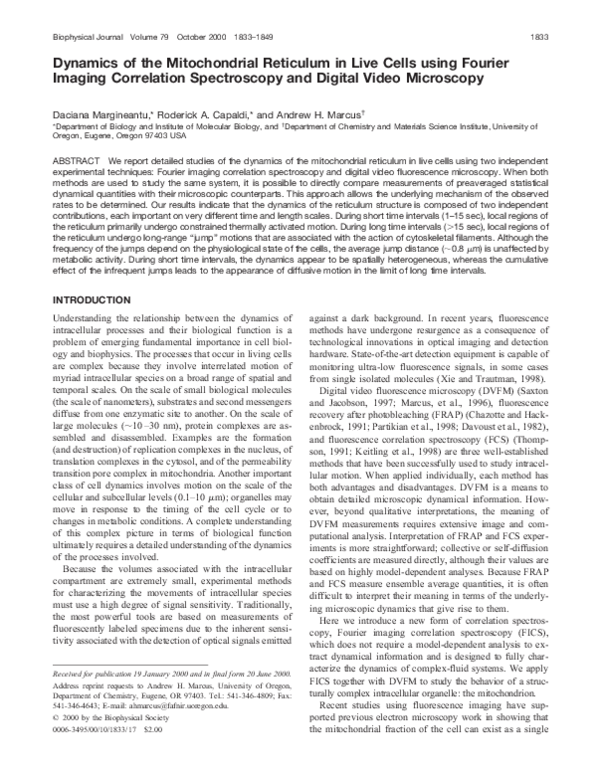 (PDF) Dynamics of the Mitochondrial Reticulum in Live Cells using ...