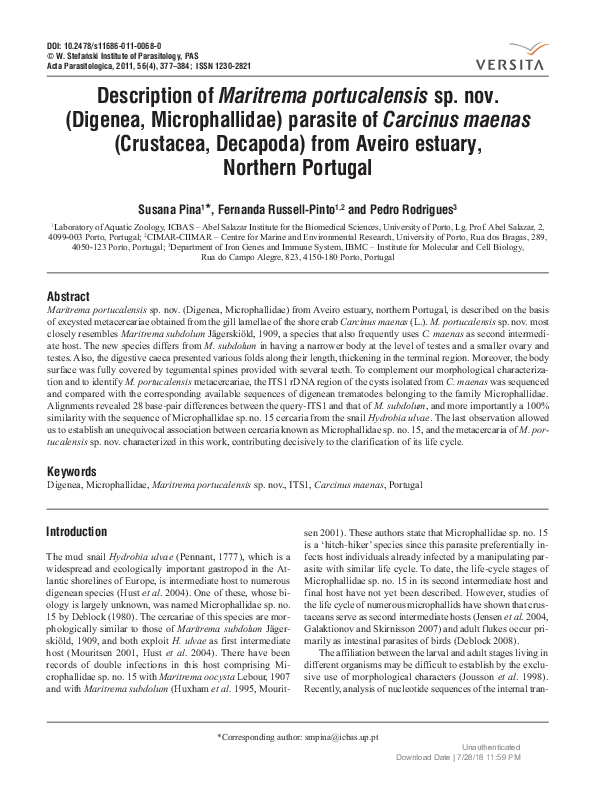 (PDF) Description of Maritrema portucalensis sp. nov. (Digenea ...