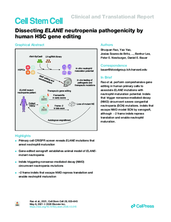 (PDF) Dissecting ELANE neutropenia pathogenicity by human HSC gene editing