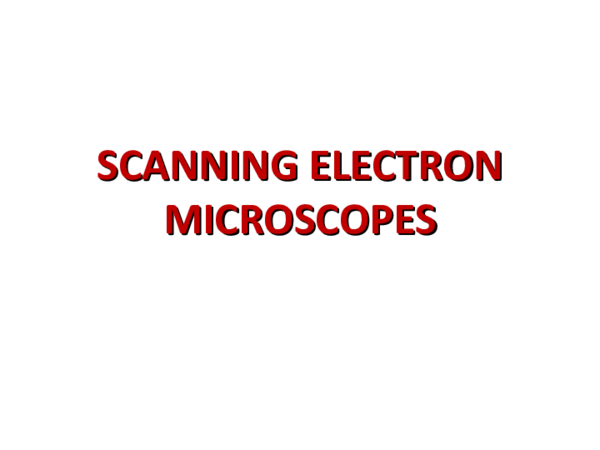 (PPT) SCANNING ELECTRON MICROSCOPES