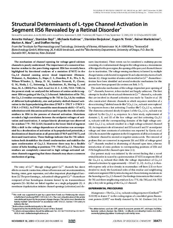(PDF) Structural Determinants of L-type Channel Activation in Segment ...