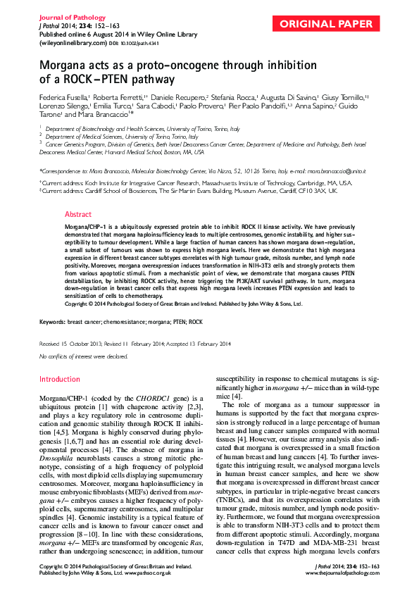(PDF) Morgana acts as a proto-oncogene through inhibition of a ROCK-PTEN pathway