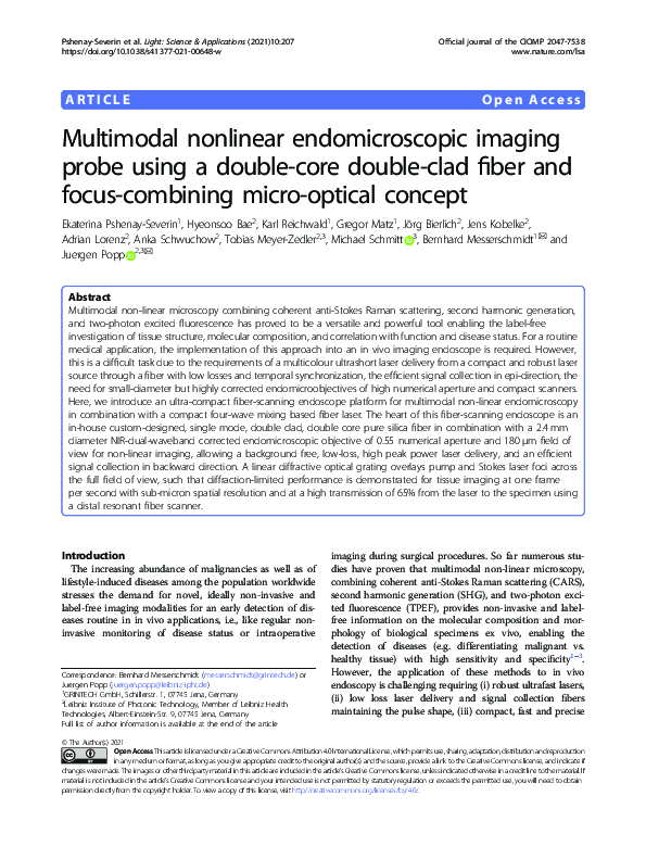 (PDF) Multimodal nonlinear endomicroscopic imaging probe using a double-core double-clad fiber ...