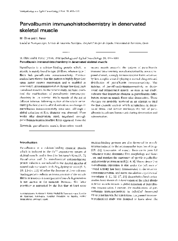 (PDF) Parvalbumin immunohistochemistry in denervated skeletal muscle