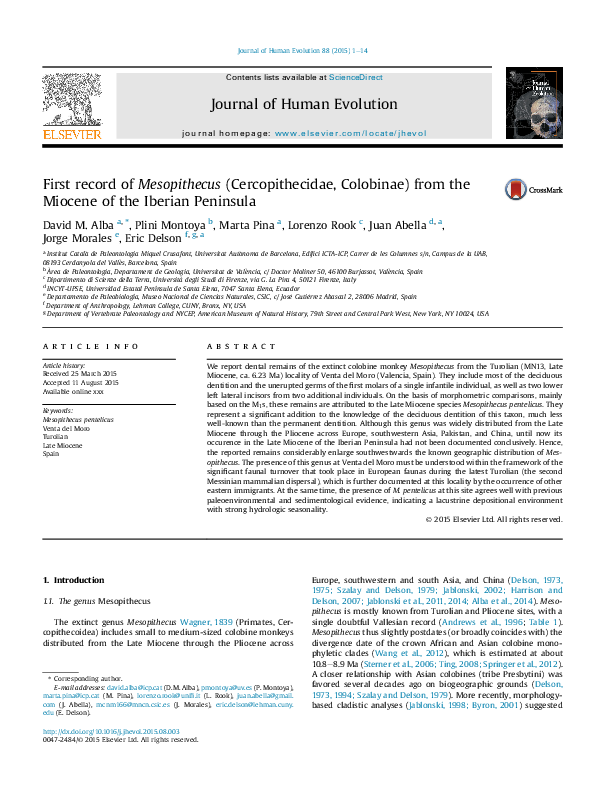 (PDF) First record of Mesopithecus (Cercopithecidae, Colobinae) from ...