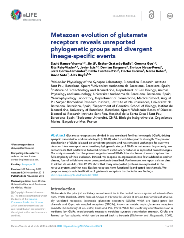 (PDF) Metazoan evolution of glutamate receptors reveals unreported ...