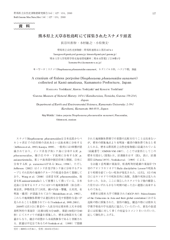 (PDF) A cranium of finless porpoise (Neophocaena phocaenoides sunameri ...