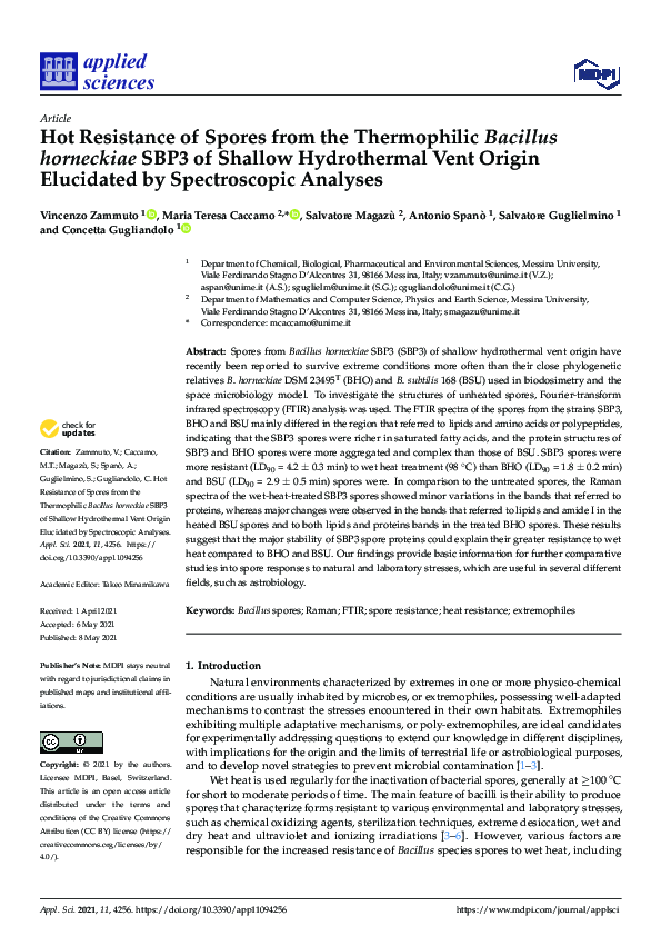 (PDF) Hot Resistance of Spores from the Thermophilic Bacillus ...