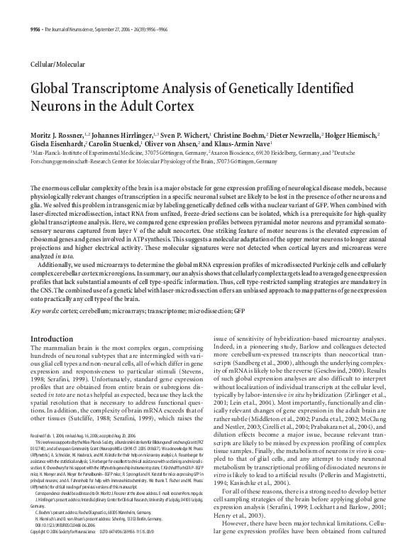 (PDF) Global Transcriptome Analysis of Genetically Identified Neurons ...