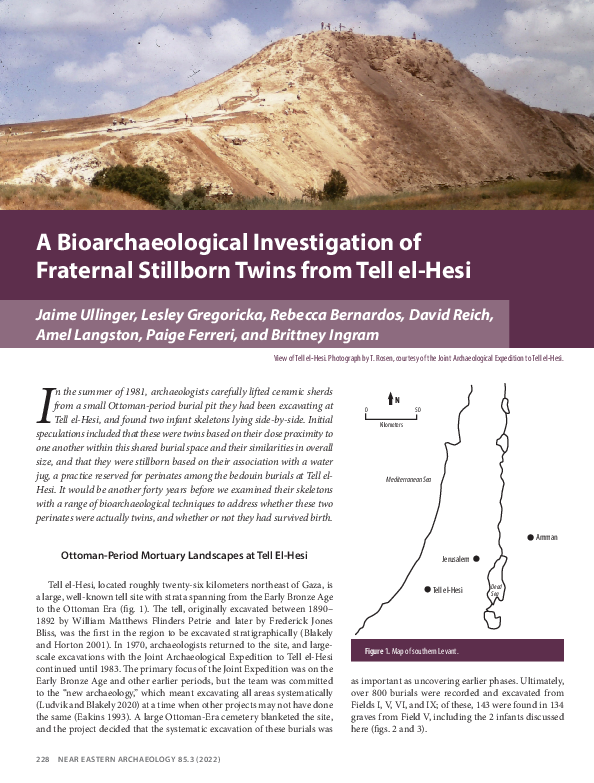 (PDF) A bioarchaeological investigation of fraternal stillborn twins ...