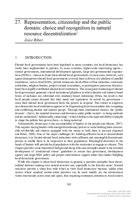 (PDF) 27. Representation, citizenship and the public domain: choice and ...