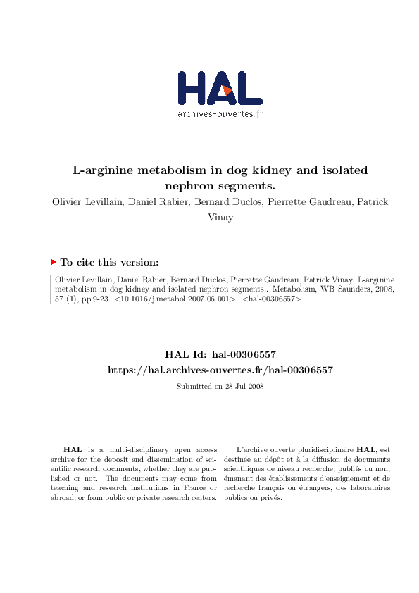 (PDF) l-Arginine metabolism in dog kidney and isolated nephron segments