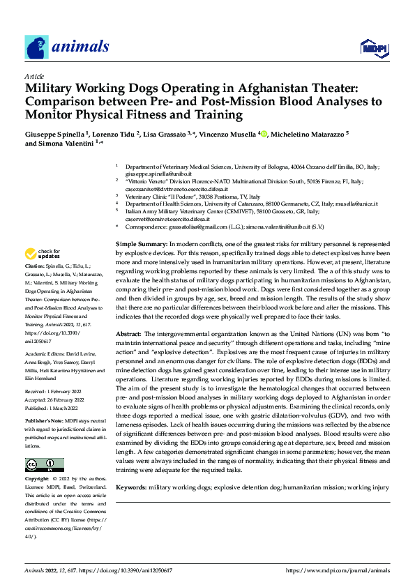 (PDF) Military Working Dogs Operating in Afghanistan Theater ...