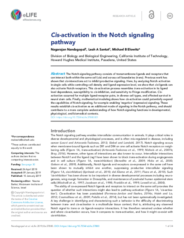 (PDF) Cis-activation in the Notch signaling pathway