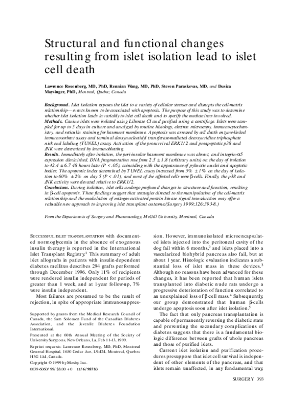 (PDF) Structural and functional changes resulting from islet isolation ...