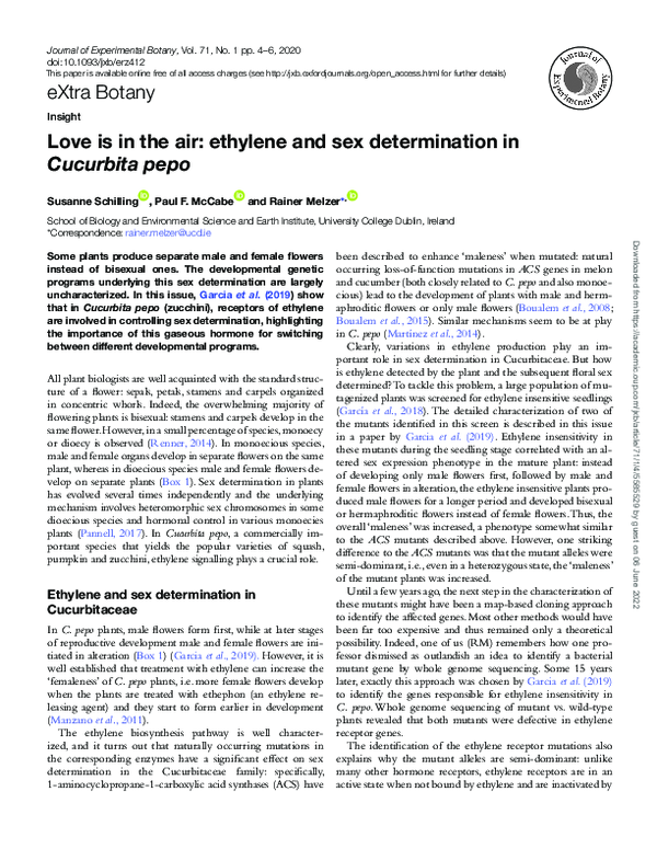 Pdf Love Is In The Air Ethylene And Sex Determination In Cucurbita Pepo