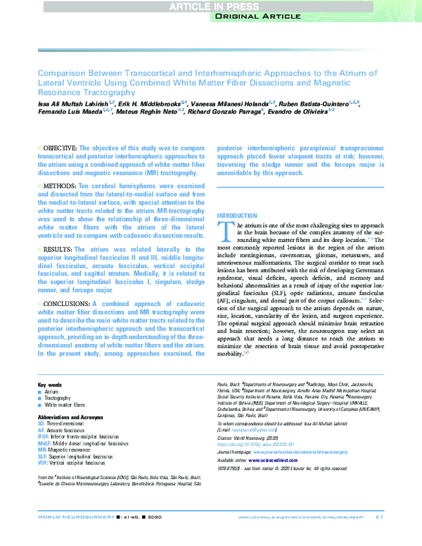 (PDF) Preservation of frontal white matter tracts in ventricular ...