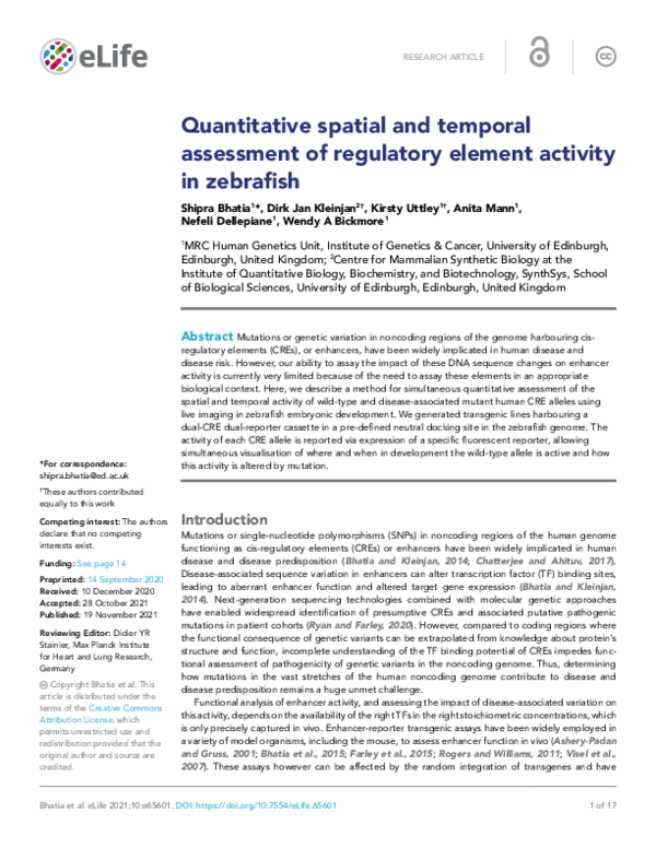 (PDF) Quantitative spatial and temporal assessment of regulatory element activity in zebrafish ...