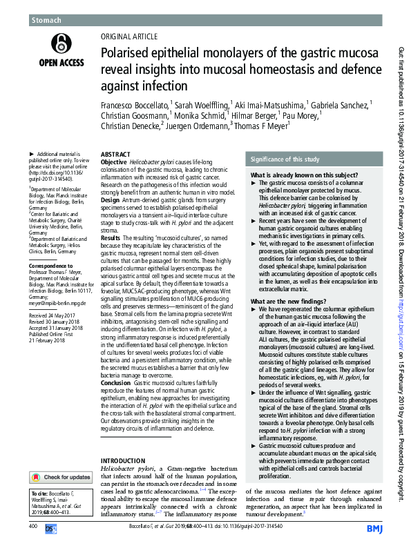 (PDF) Polarised epithelial monolayers of the gastric mucosa reveal ...
