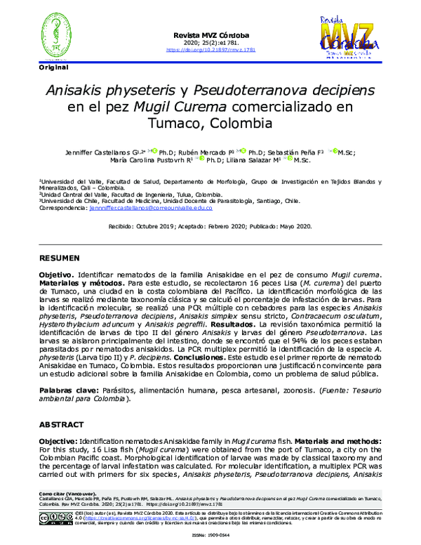 (PDF) Anisakis physeteris y Pseudoterranova decipiens Español