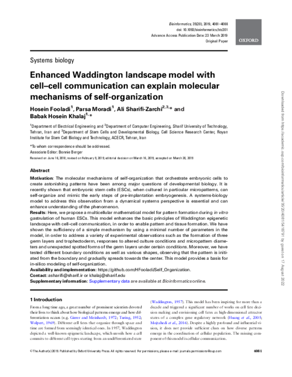 (PDF) Modeling Self-Organization in ESC Patterns