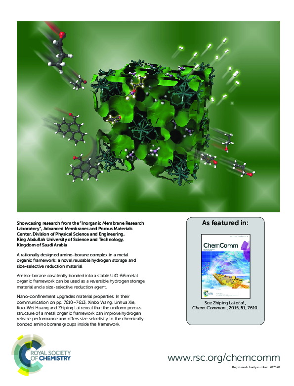 (PDF) A rationally designed amino-borane complex in a metal organic ...
