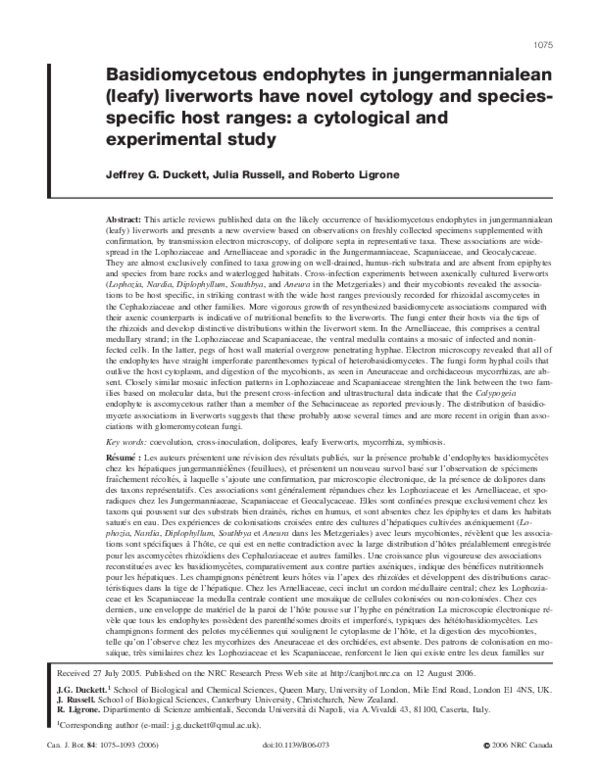 (PDF) Basidiomycetous endophytes in jungermannialean (leafy) liverworts ...