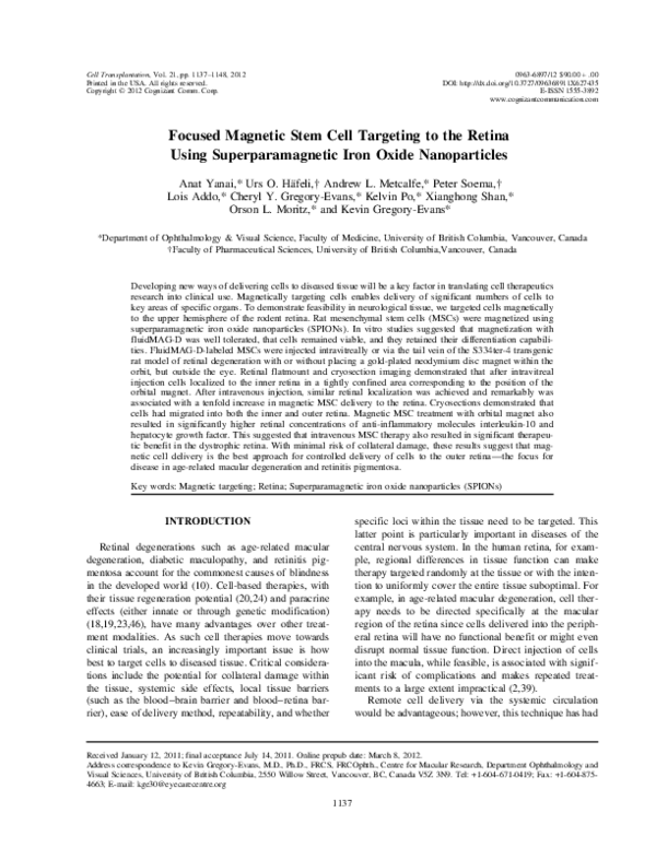 (PDF) Focused Magnetic Stem Cell Targeting to the Retina Using ...