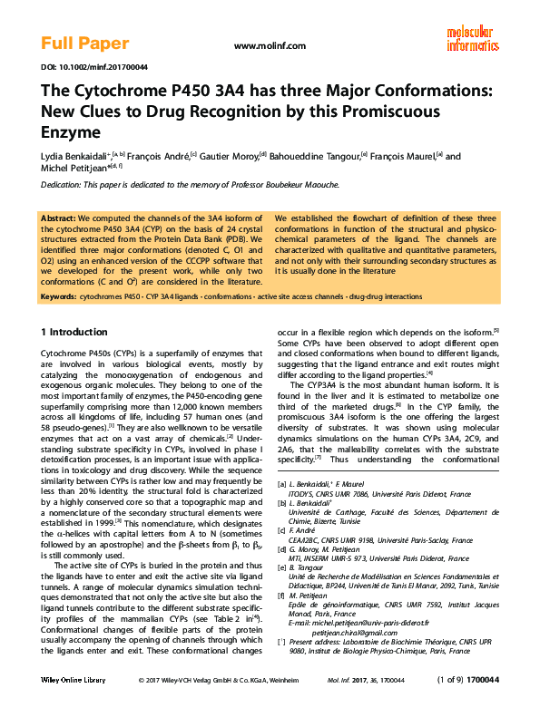 (PDF) The Cytochrome P450 3A4 Has Three Major Conformations: New Clues ...