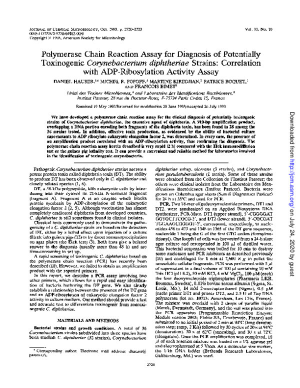 (PDF) Polymerase chain reaction assay for diagnosis of potentially toxinogenic Corynebacterium ...