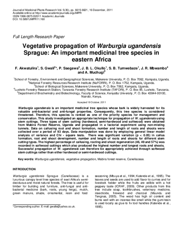 (PDF) Vegetative propagation of Warburgia ugandensis Sprague: An ...