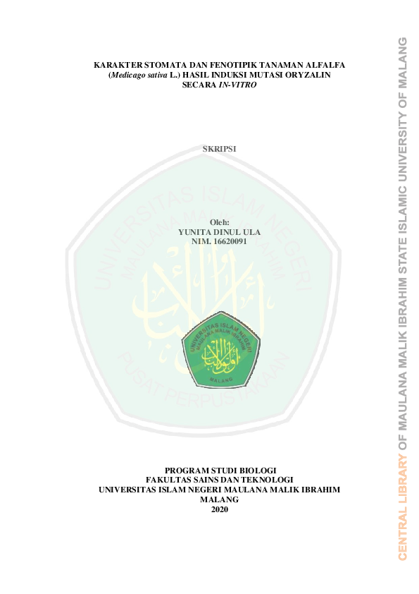 (PDF) Karakter stomata dan fenotipik tanaman alfalfa (medicago sativa l ...