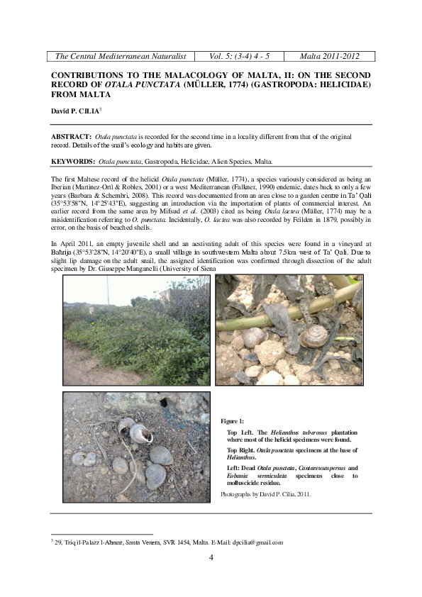 (PDF) Contributions to the malacology of Malta, 2 : on the second ...