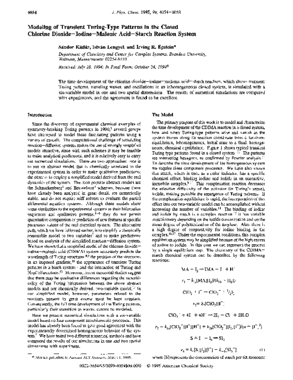 (PDF) Modeling of Transient Turing-Type Patterns in the Closed Chlorine ...