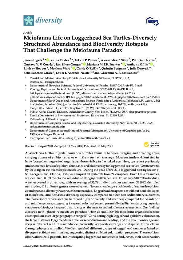 (PDF) Meiofauna Life on Loggerhead Sea Turtles-Diversely Structured ...