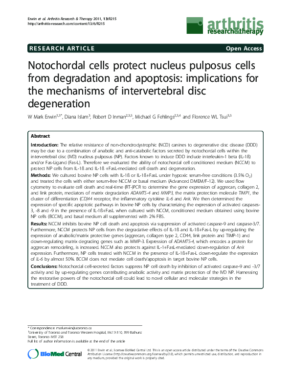 (PDF) Notochordal cells protect nucleus pulposus cells from degradation and apoptosis ...