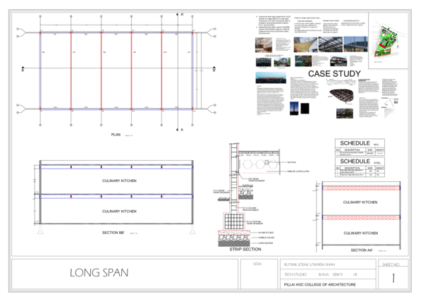 (PDF) LONG SPAN final