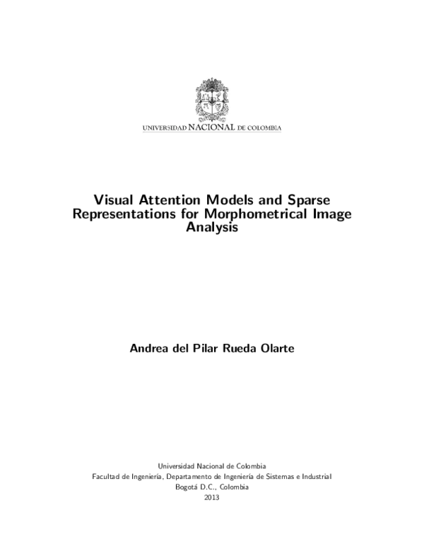 (PDF) Visual attention models and arse representations for morphometrical image analysis