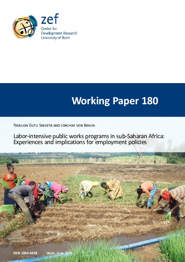 (PDF) Labor-Intensive Public Works Programs in Sub-Saharan Africa ...
