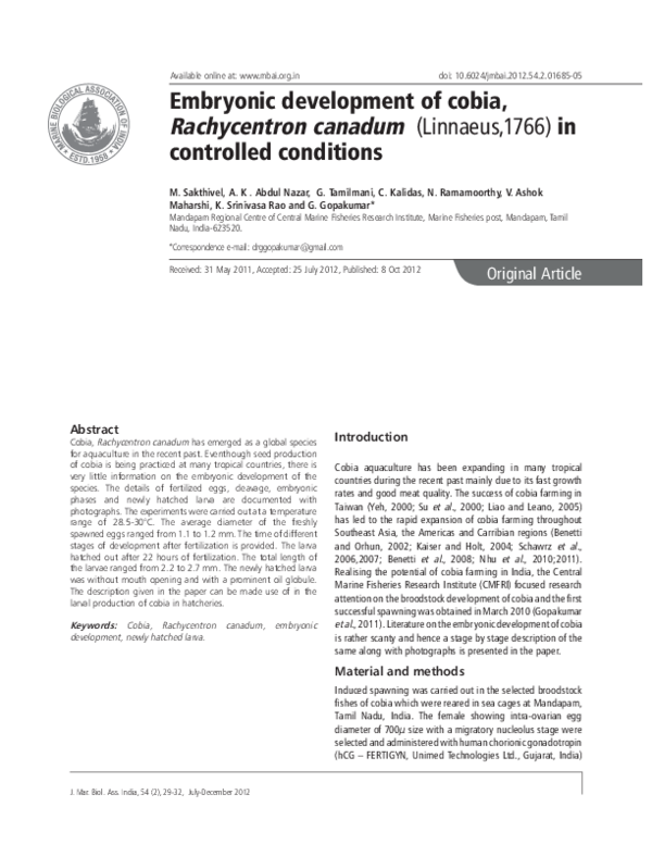 (PDF) Embryonic development of cobia, Rachycentron canadum (Linnaeus ...
