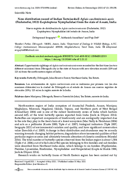 (PDF) New distribution record of Indian Tortoiseshell Aglais ...
