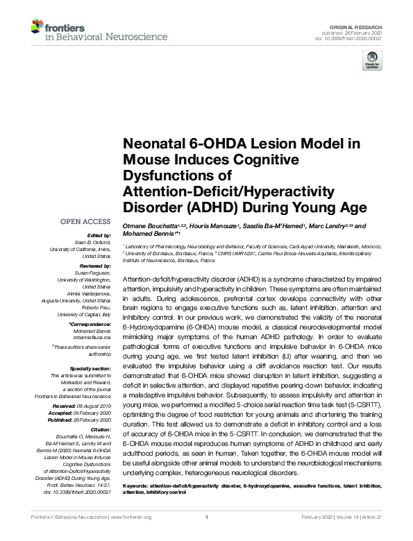 (PDF) Neonatal 6-OHDA Lesion Model in Mouse Induces Cognitive ...