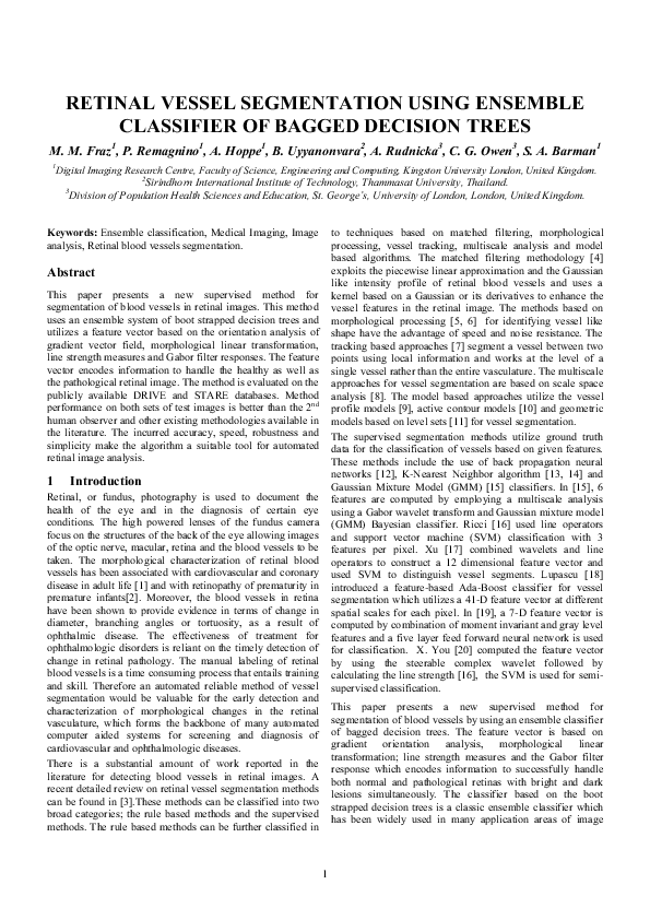 (PDF) Retinal vessel segmentation using ensemble classifier of bagged decision trees