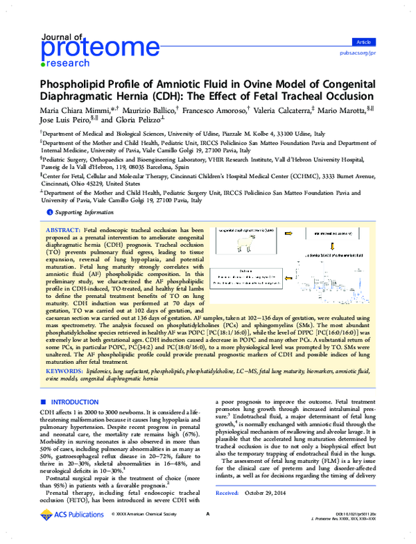 (PDF) Phospholipid profile of amniotic fluid in ovine model of ...