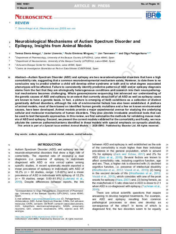 (PDF) Neurobiological Mechanisms of Autism Spectrum Disorder and ...